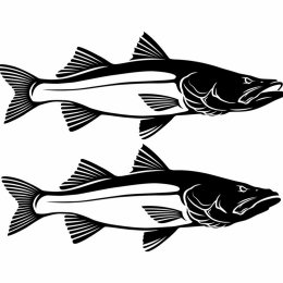 37 Snook Vector Images | Depositphotos