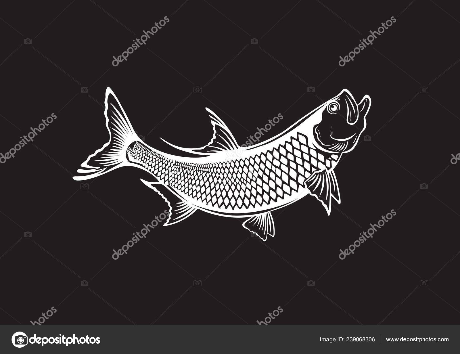 Tarpon Vector