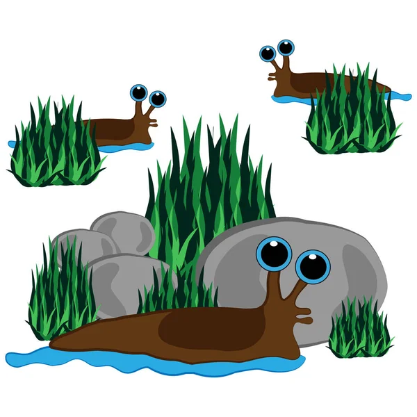 ᐈ Slug clip art stock cliparts, Royalty Free slugs illustrations ...