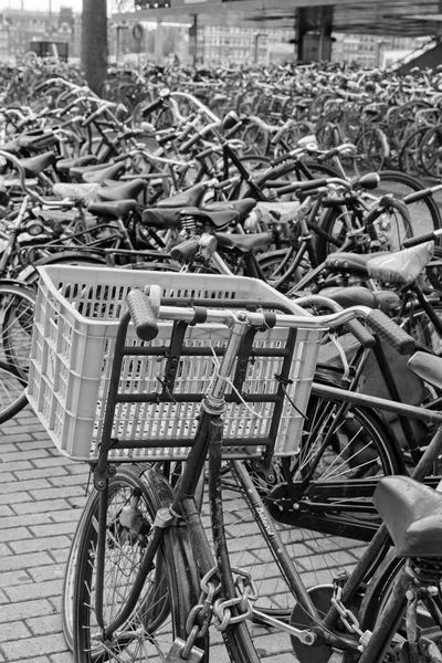 Multimodal fotos de stock, imágenes de Multimodal sin royalties ...