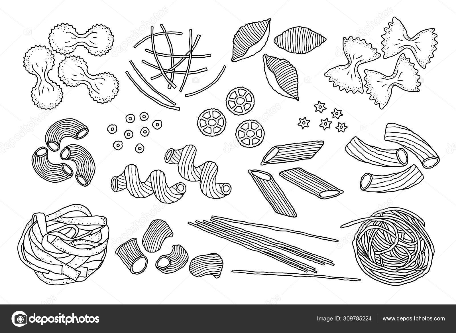 Hand drawn pasta Stock Vector Image by ©kiyanochka #309785224