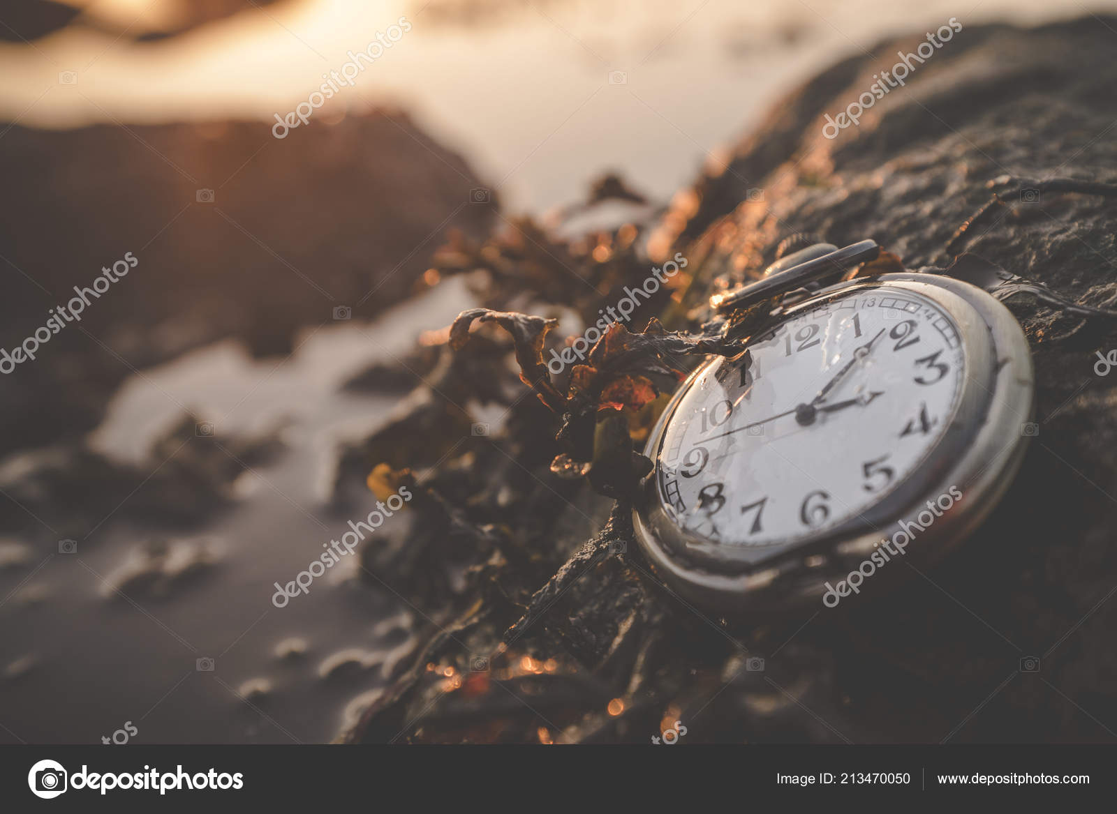 Old Clock Rock Ocean Summer Sunrise Covered Seaweed — Stock Photo ...