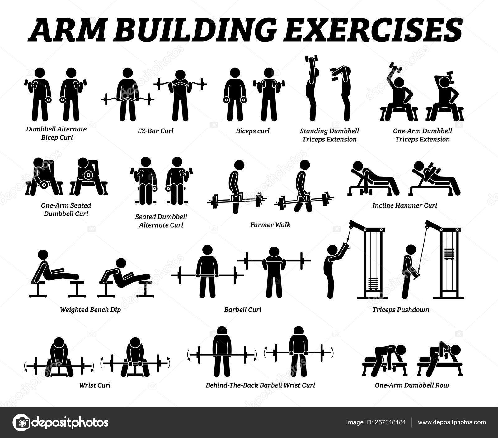 Arm Building Exercises Muscle Building Stick Figure Pictograms Artworks ...