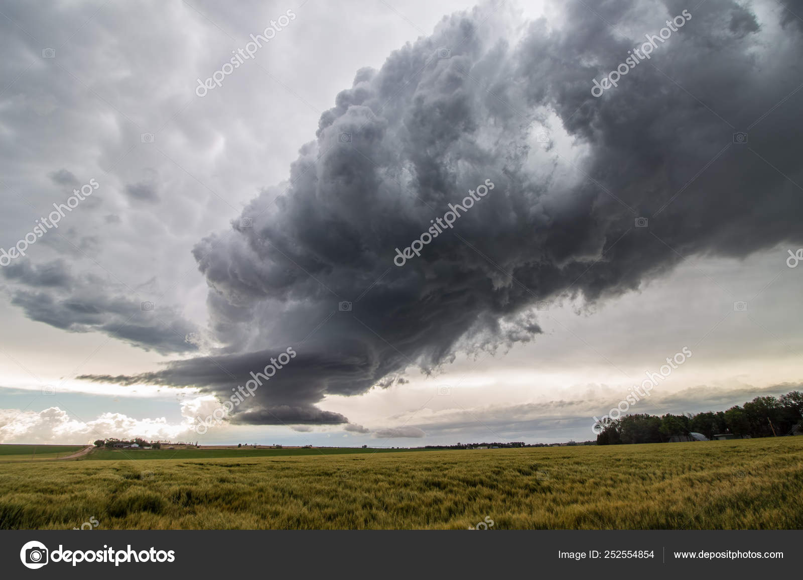 Supercell Storm And Green Grass