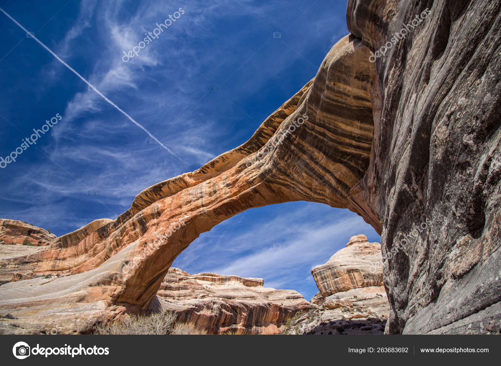 Rock Bridge Canyon Natural Bridges National Monument Stock Photo by ...