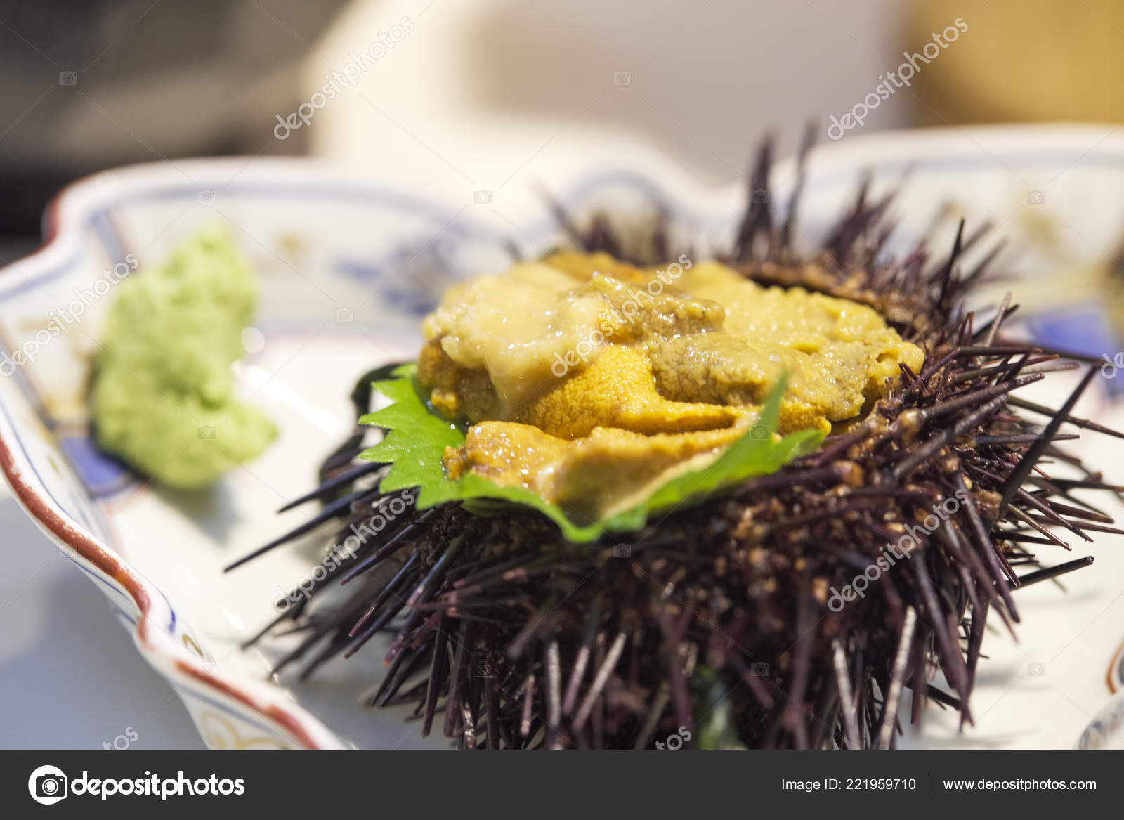 Sea Urchin Food