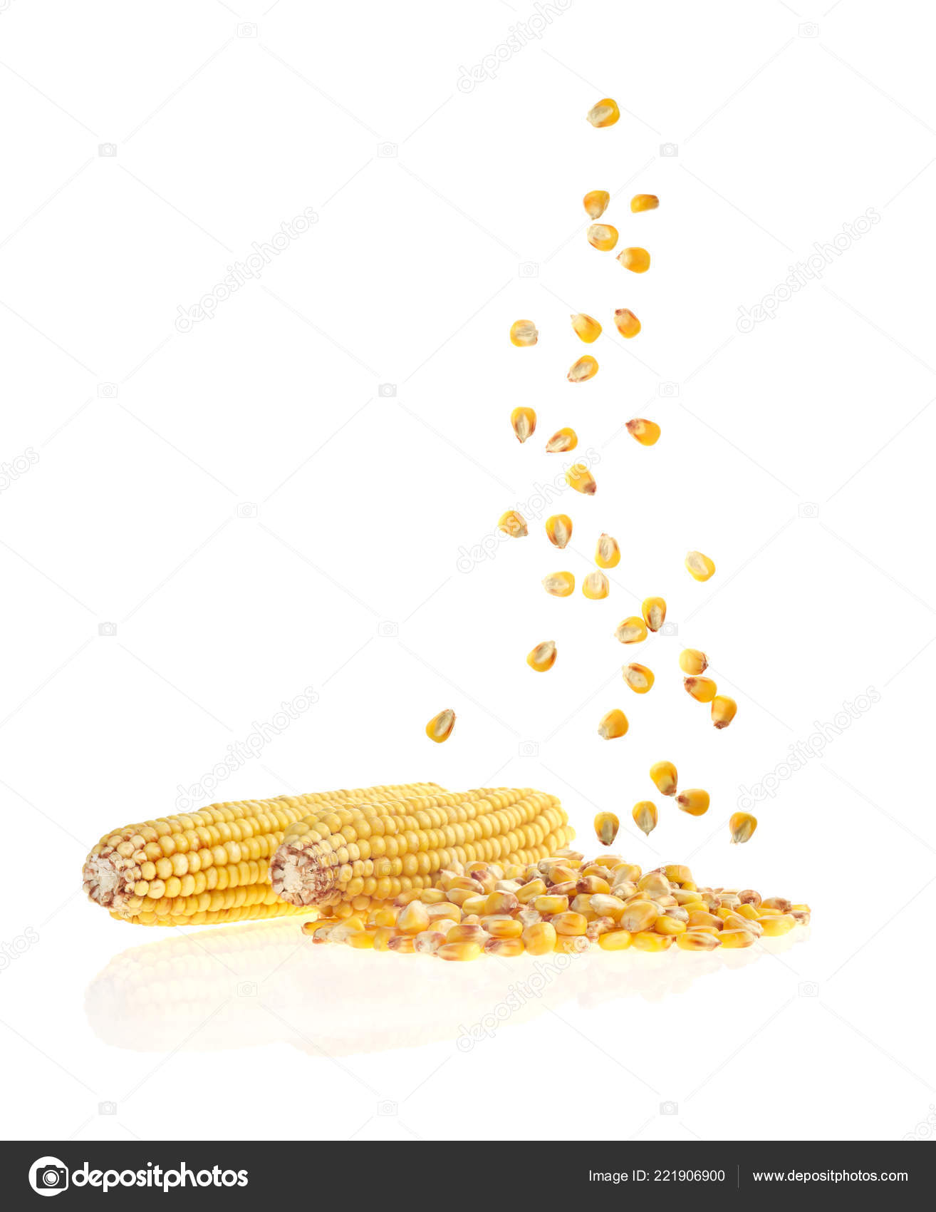 Maize Grains Cobs White Background Stock Photo by ©Photodsotiroff 221906900