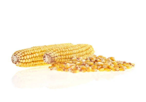 Maize Grains Cobs White Background Stock Photo by ©Photodsotiroff 221906900
