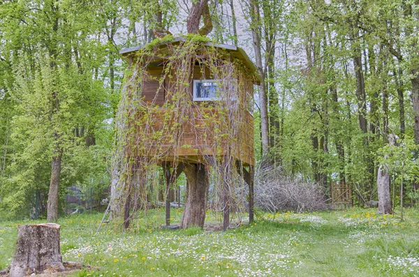 Broken tree house Stock Photos, Royalty Free Broken tree house Images ...