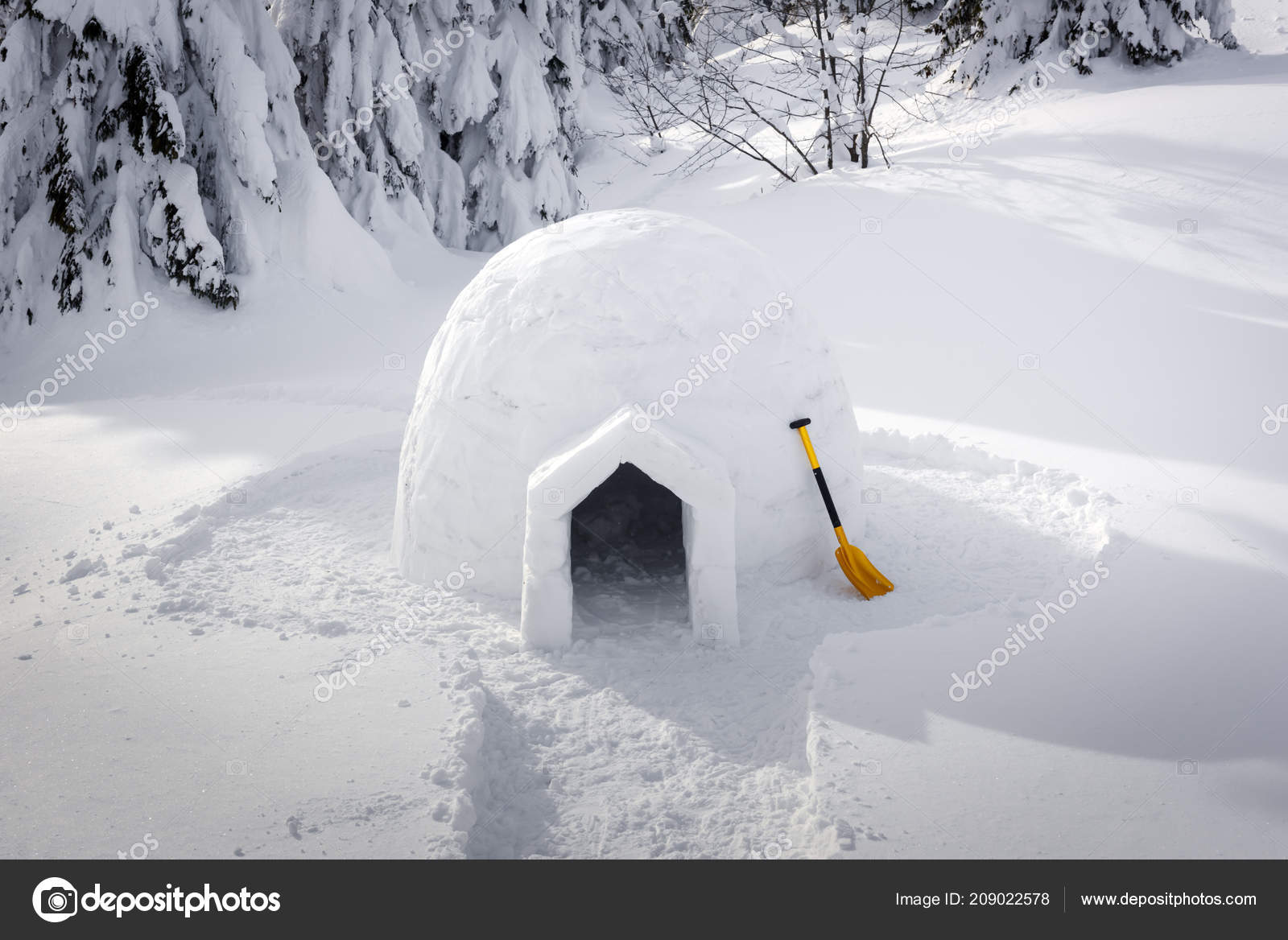 Inside Igloo
