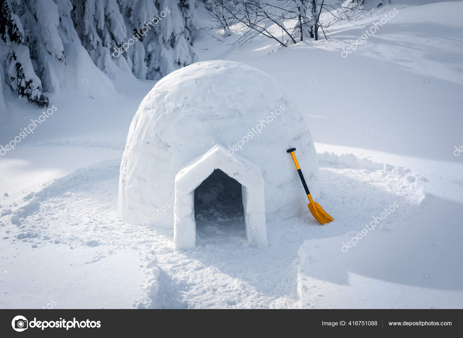 Real Igloo House