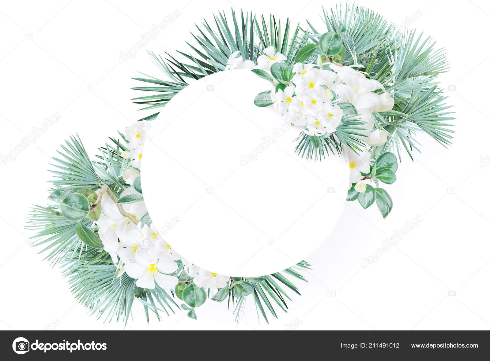 Abstract Design Flowers Frame Background Isolated White Stock ...