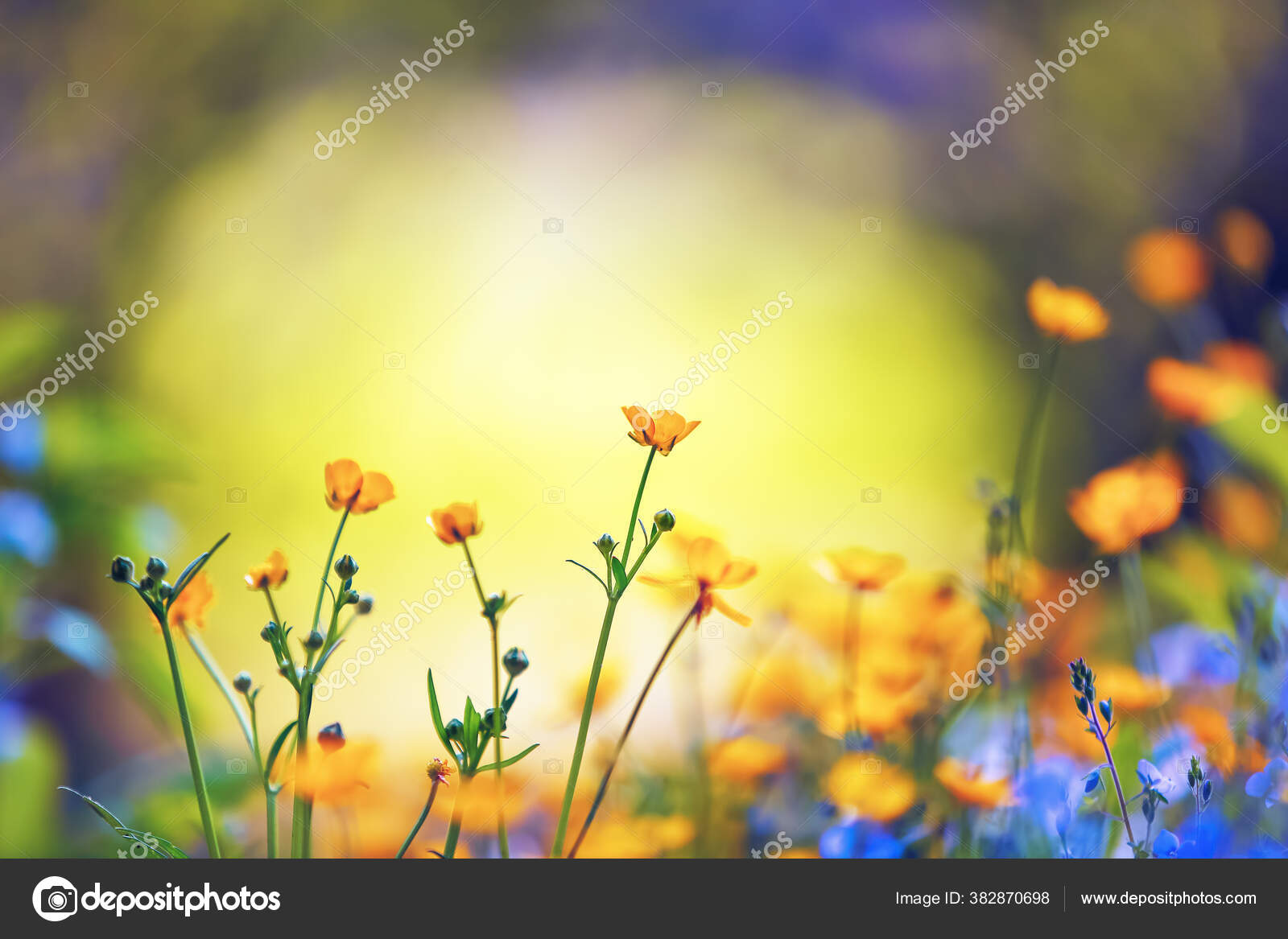 Early Spring Flowers Wallpaper