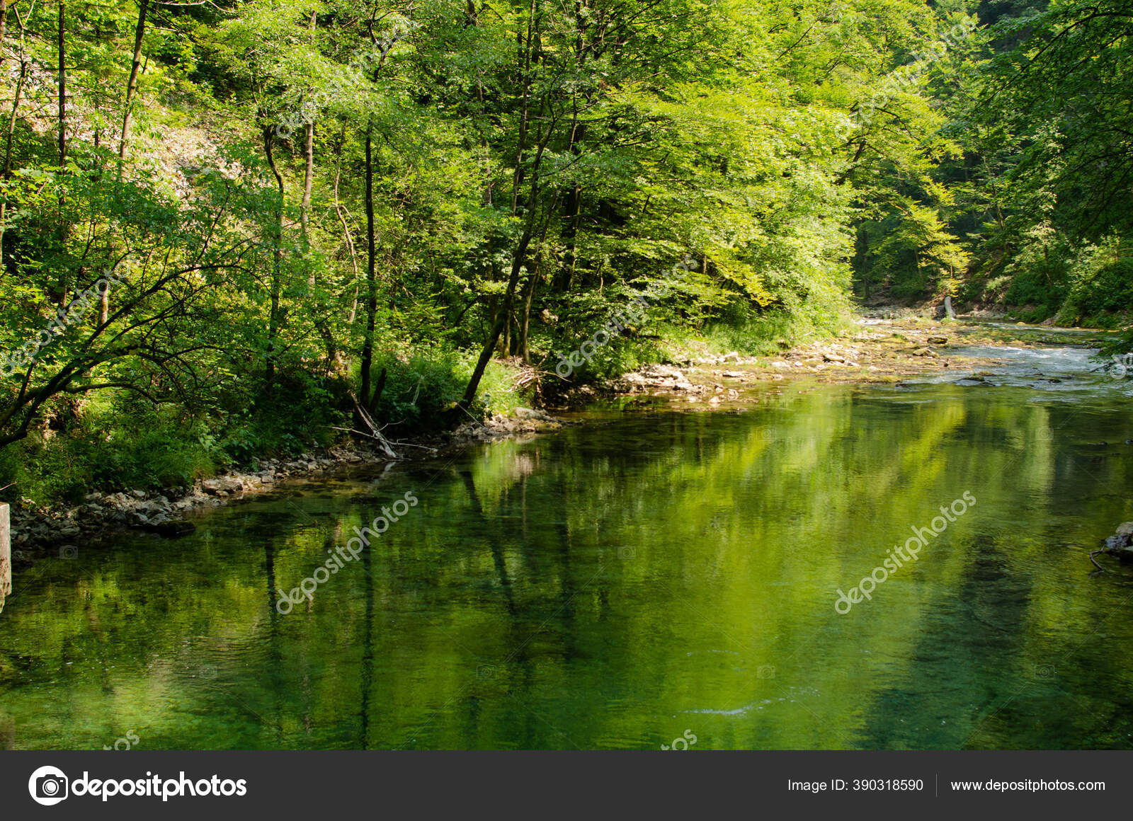 Forest Reflection Radovna River Vintgar Gorge — Stock Photo © KatSov ...