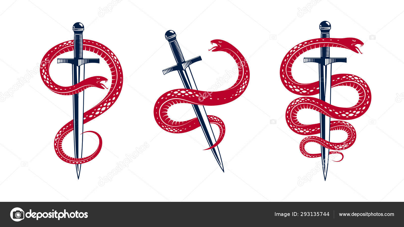 Snake and Dagger, Serpent wraps around a sword vector vintage ta Stock ...