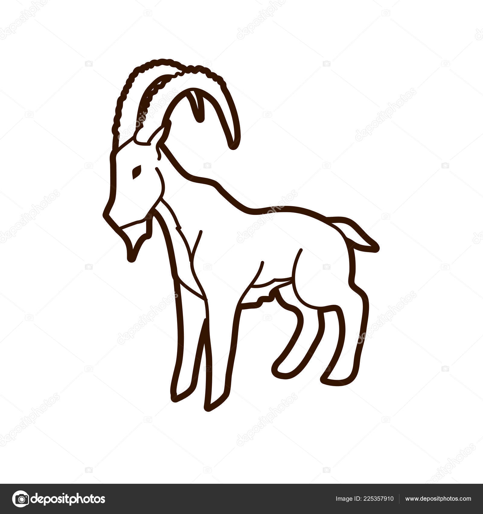 Ibex Standing Graphic Vector Stock Vector by ©sila5775 225357910