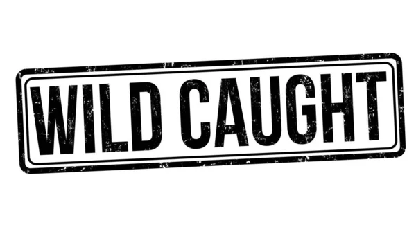 Capturado silvestre Vector Art Stock Images | Depositphotos