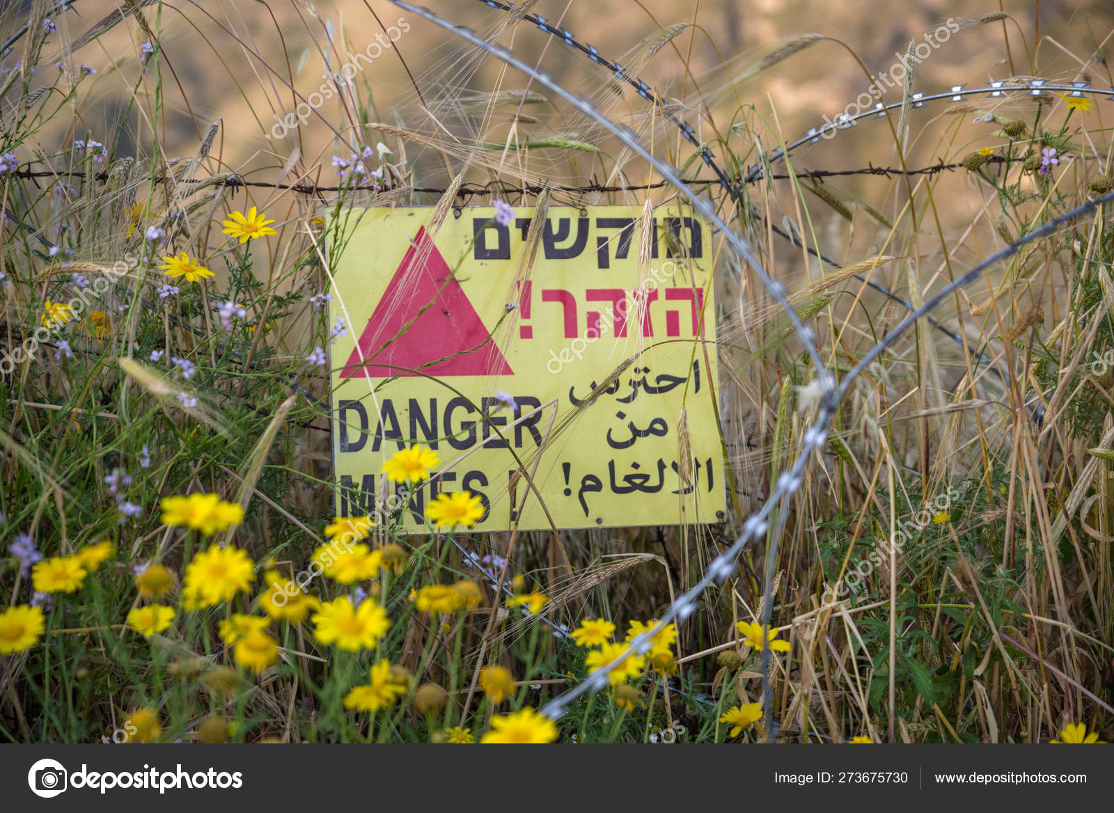 Danger mines - yellow warning sign next to a mine field, close to the ...