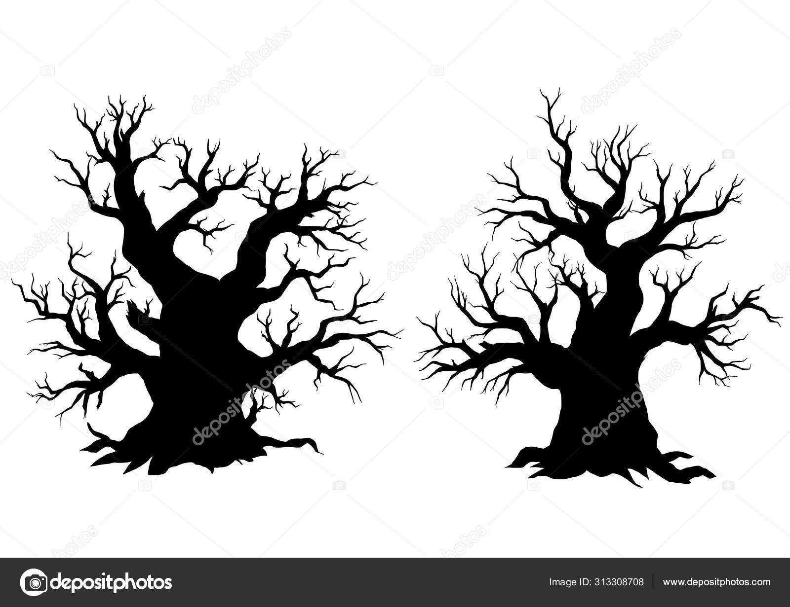 Old Dead Tree Drawing