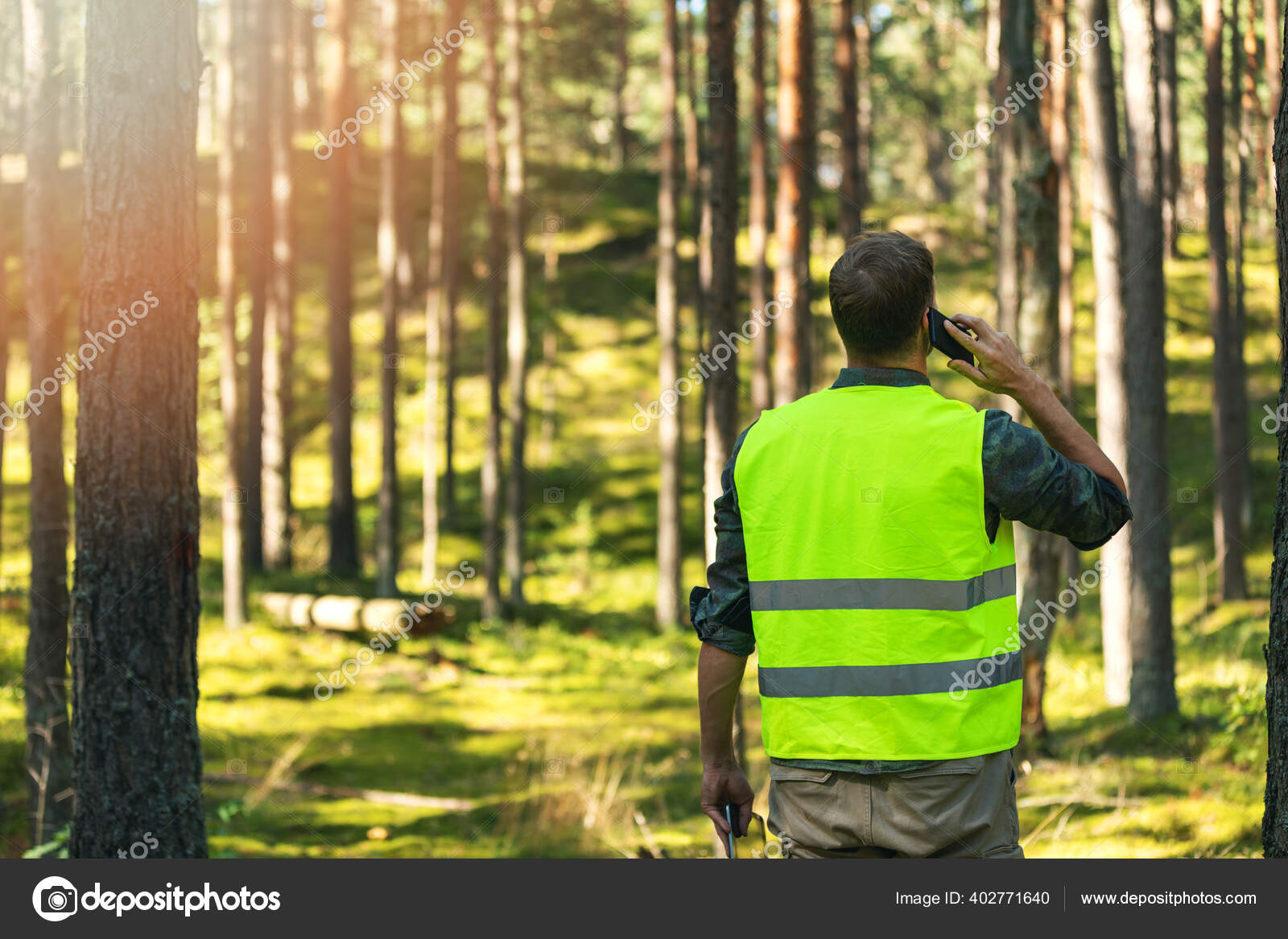 Forester Watching Development Forest Forestry Afforestation — Stock ...