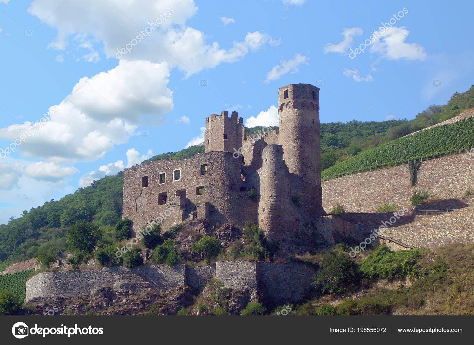 Ehrenfels Castle German Burg Ehrenfels Town Rdesheim Rhein Hesse ...