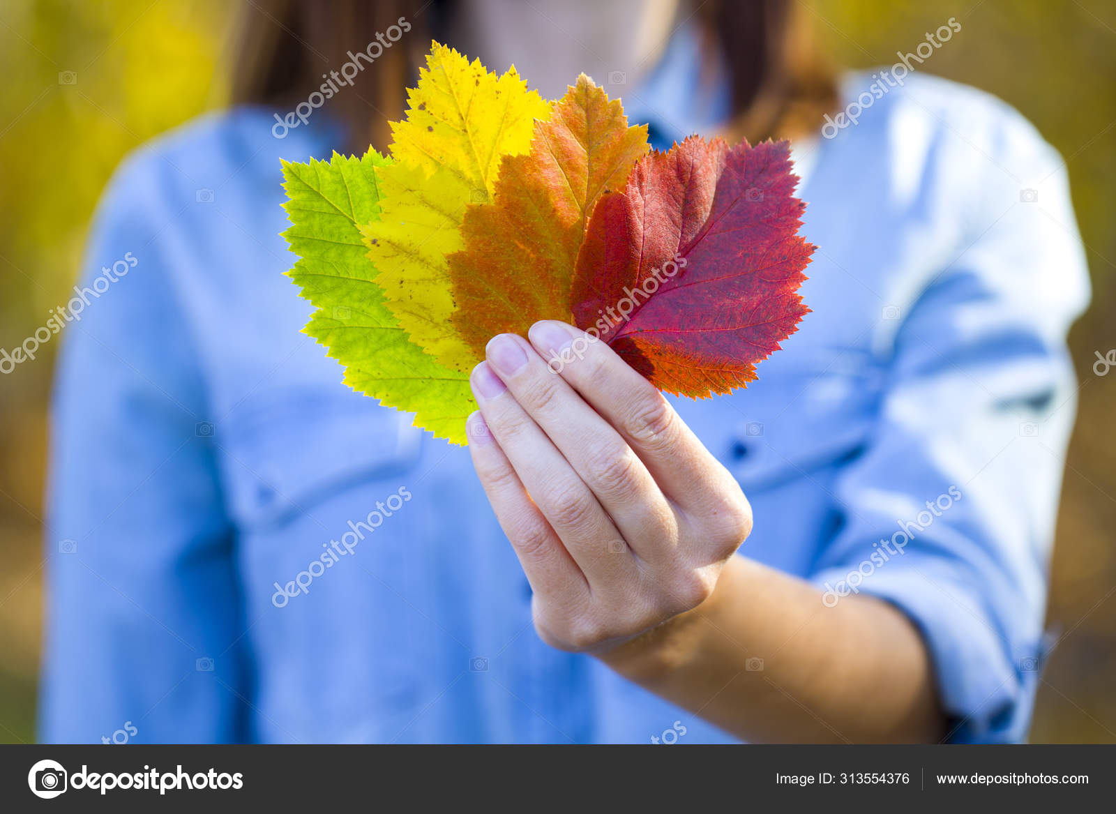 Color Palette Nature Autumn Leaves Hands ⬇ Stock Photo, Image by ...