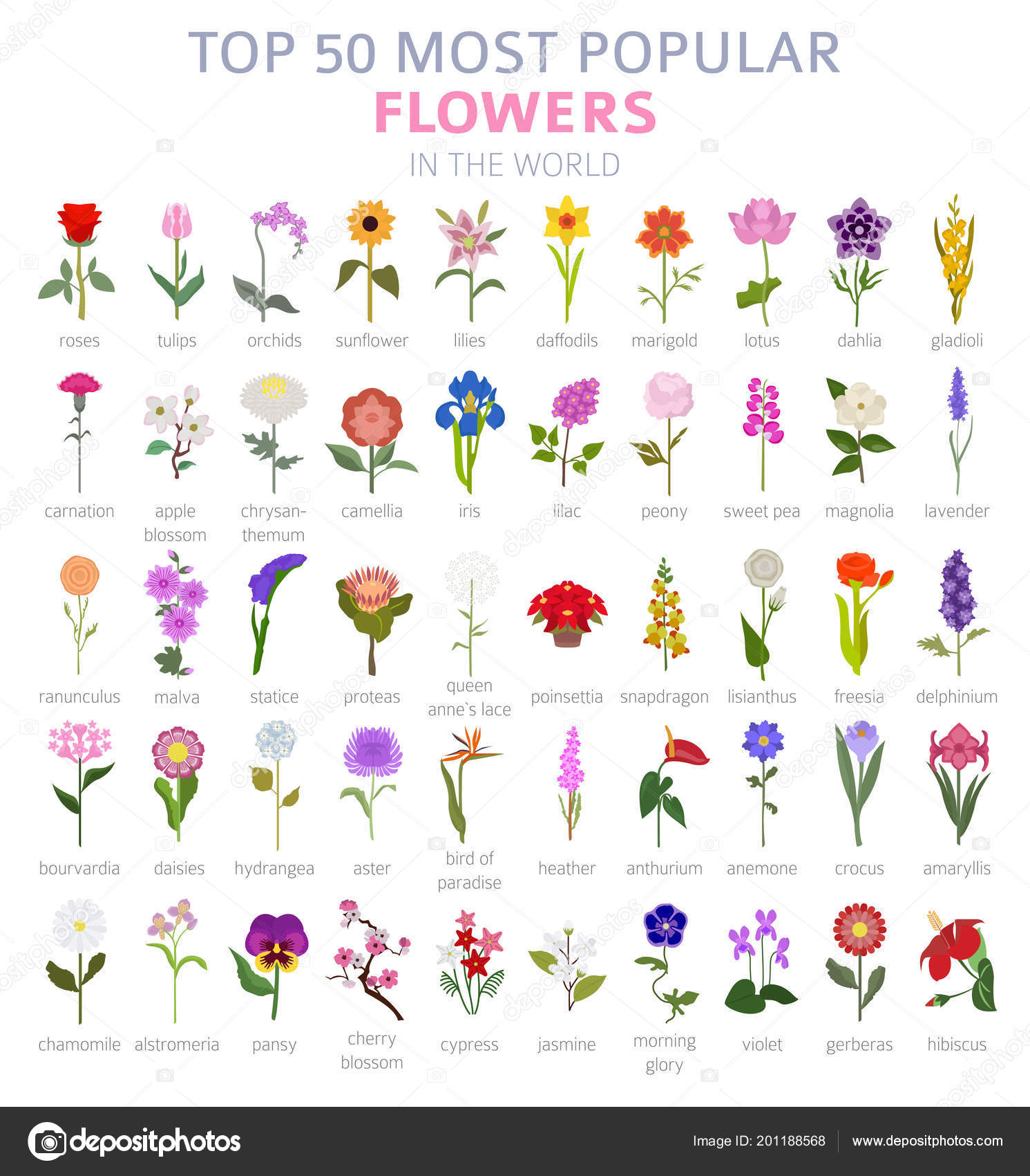 What Is The Most Common Flower In World | Best Flower Site
