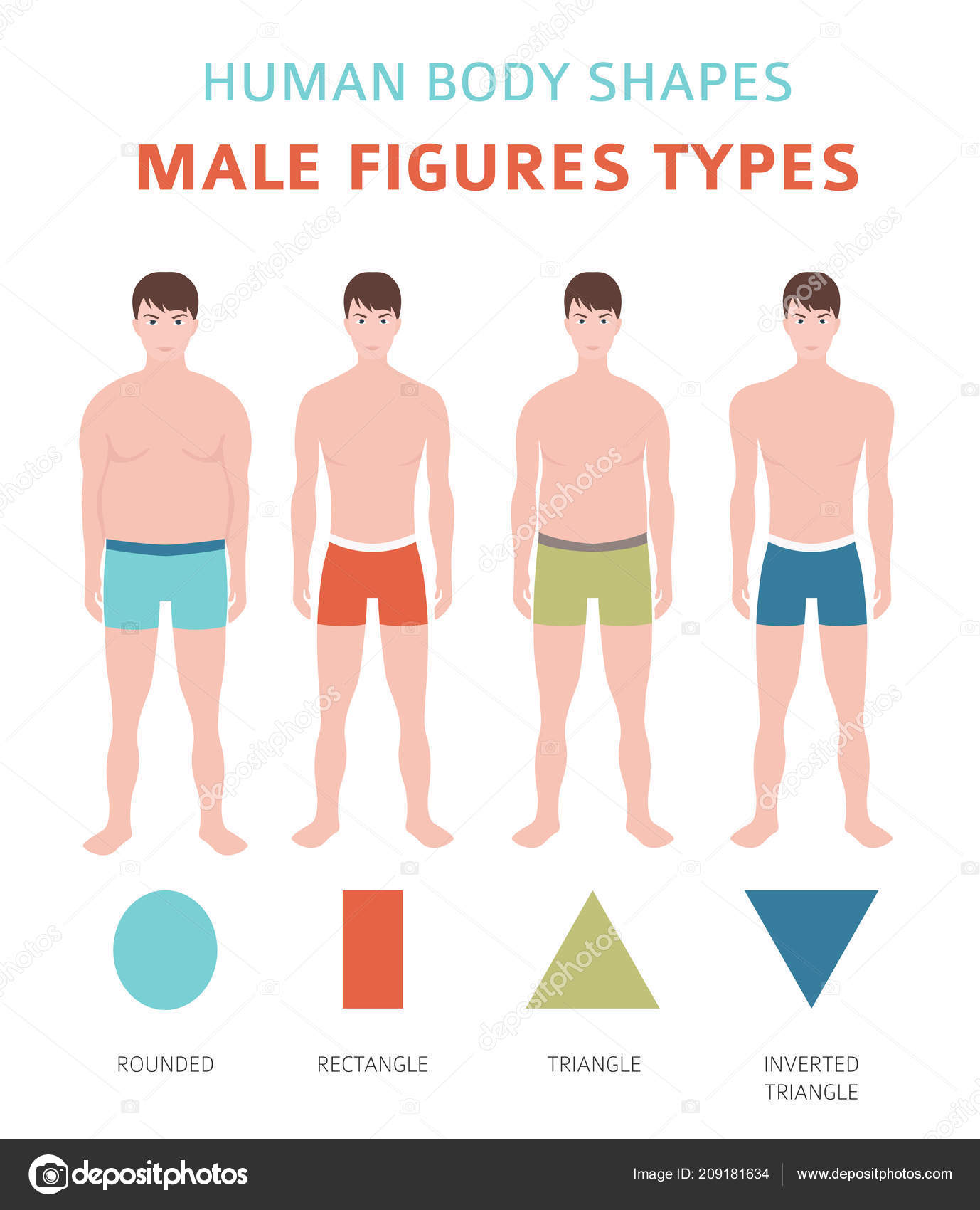 Image vectorielle Formes Corps Humain Figures Masculines Types Réglés ...