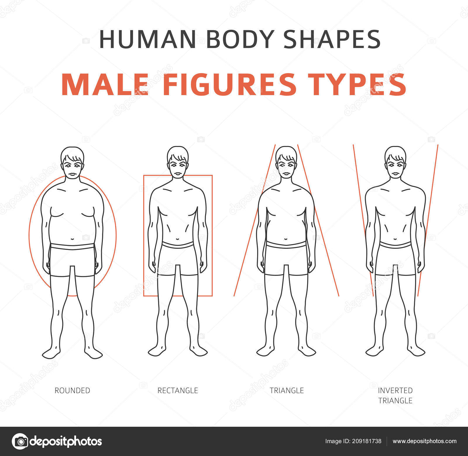 Human Body Shapes Male Figures Types Set Vector Illustration Stock ...