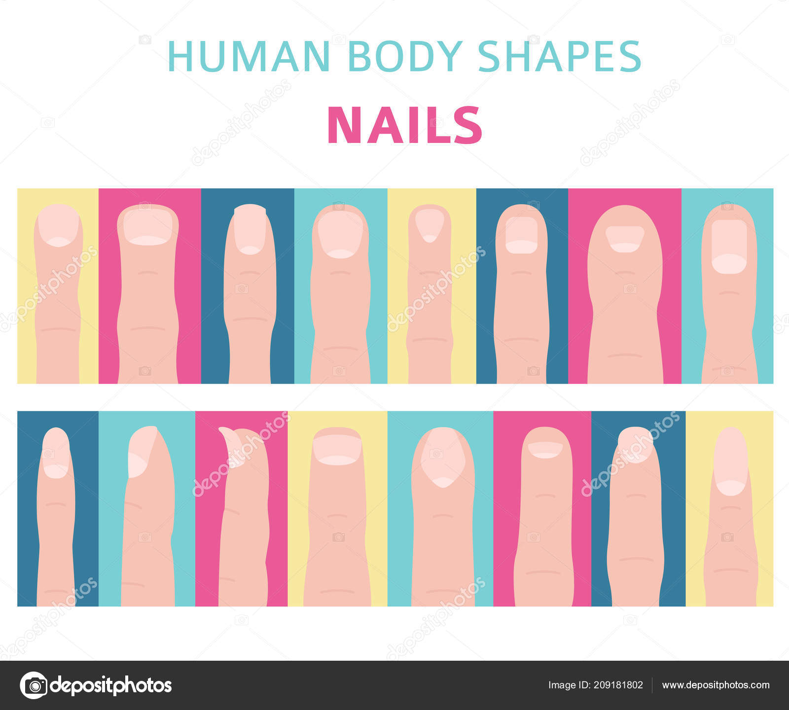 Human Body Shapes Hand Finger Nail Types Set Vector Illustration Stock ...