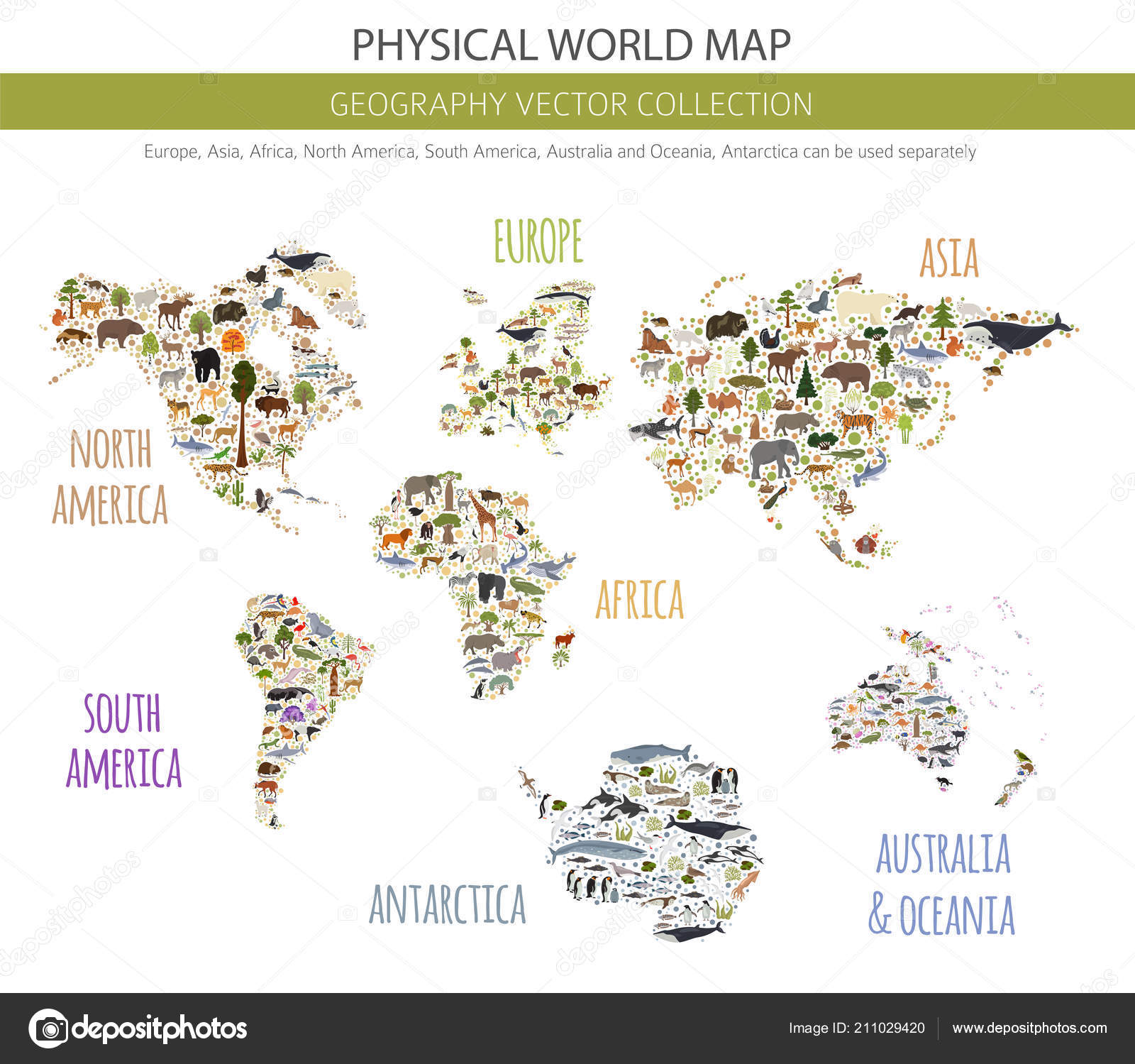 Mundo Plano Flora Fauna Mapa Elementos Constructores Animales Aves Vida ...