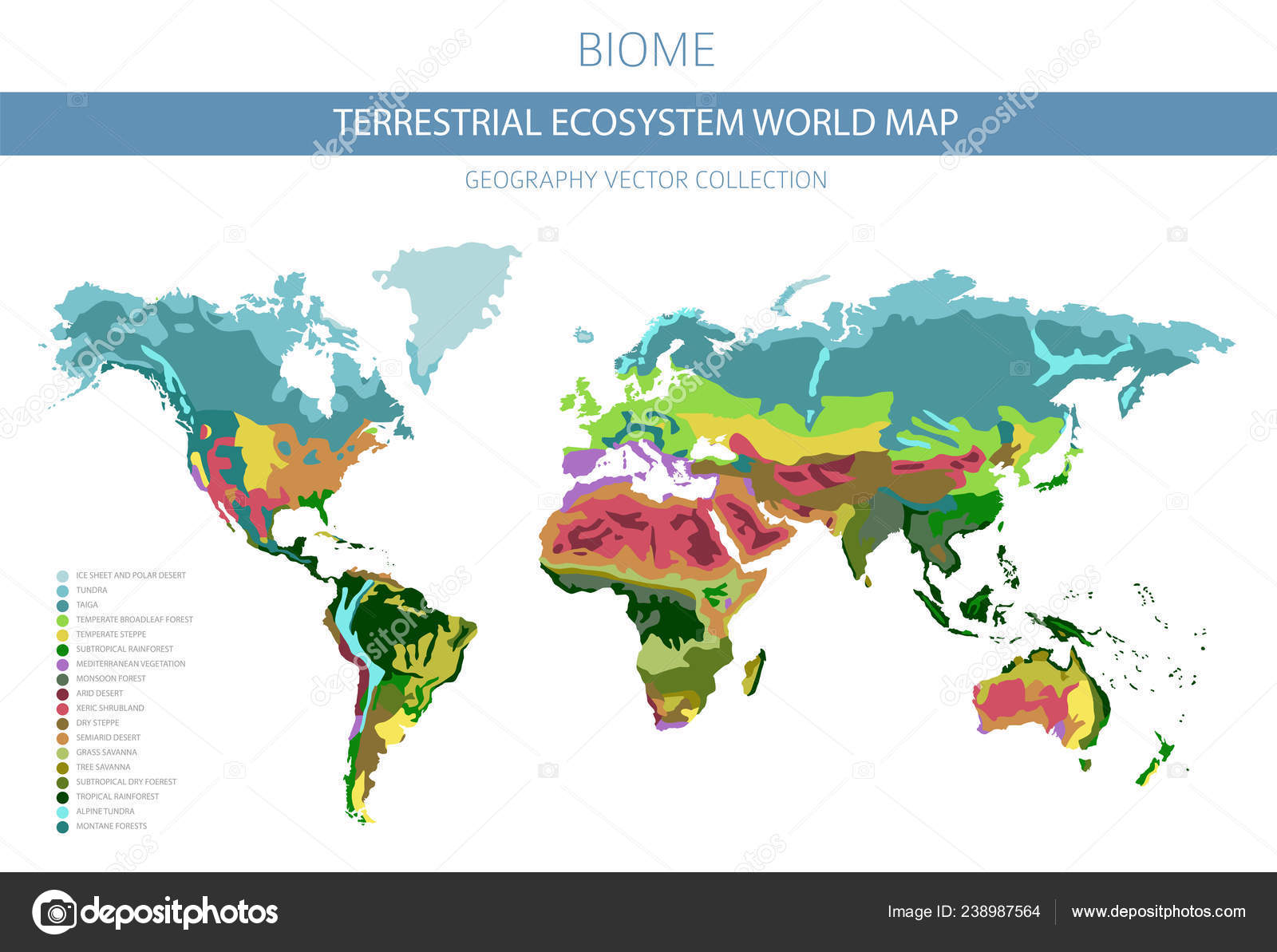 Mapa Světa Suchozemských Ekosystémů Biomu Světové Klimatické Zóny ...
