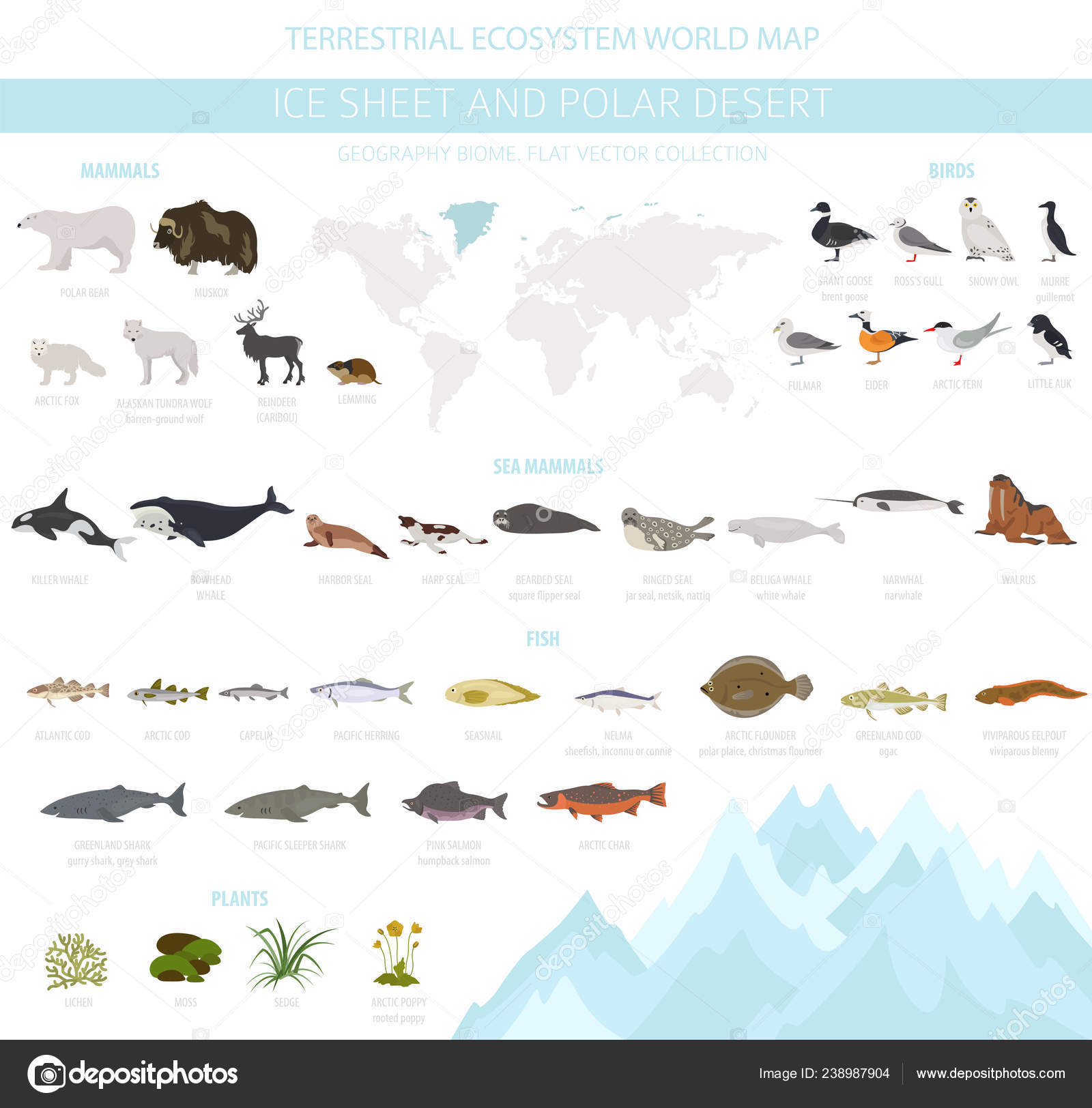 Plantas E Animais Articos