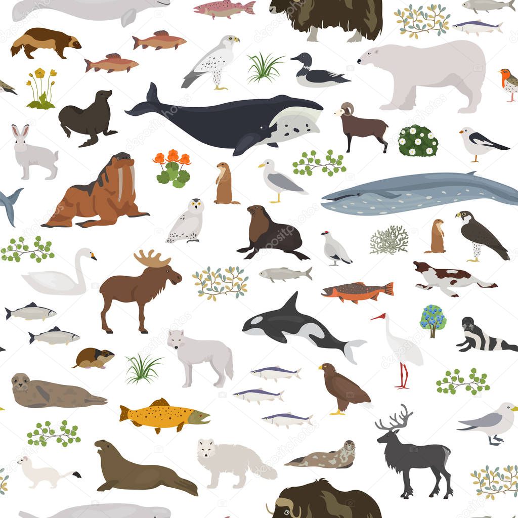 Bioma de Tundra. Mapa mundial de ecosistemas terrestres. Animales del rtico, aves, peces y ...