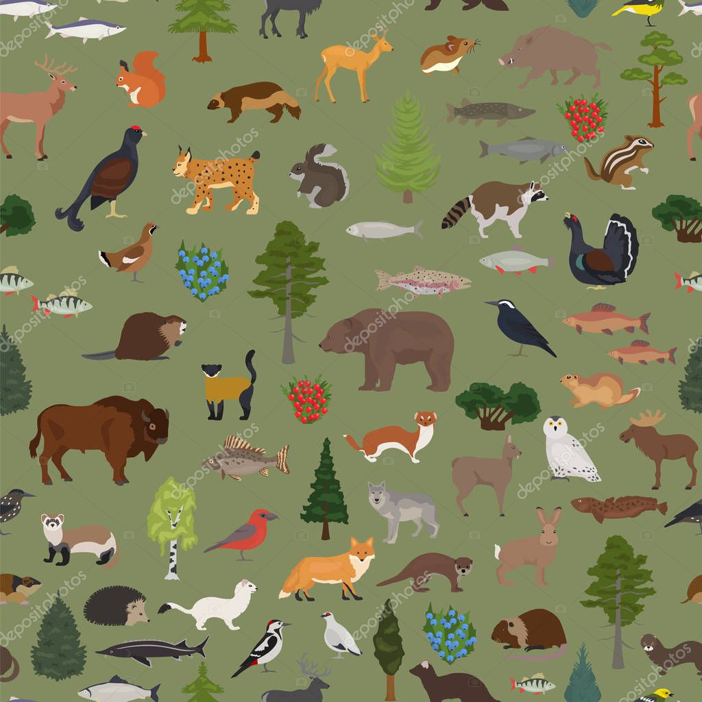 Bioma de Taiga, bosque de nieve boreal patr n sin costuras. Mapa mundial de ecosistemas ...