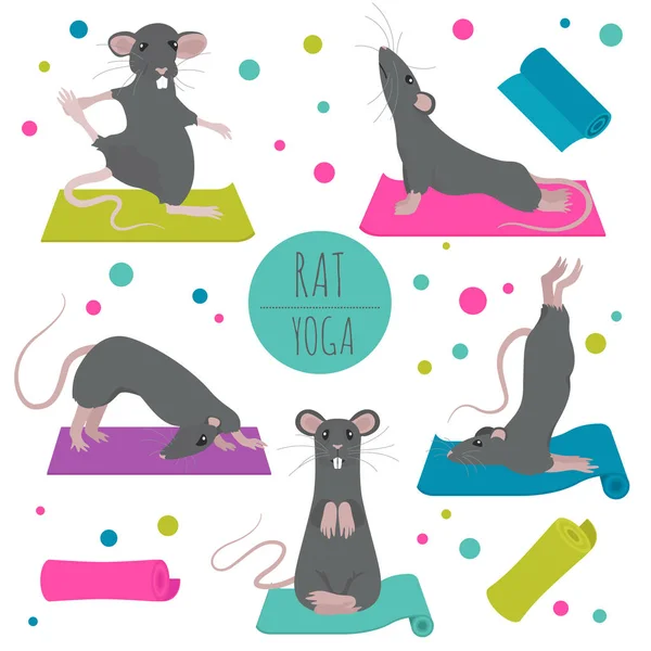 27 Gym rat Vector Images | Depositphotos