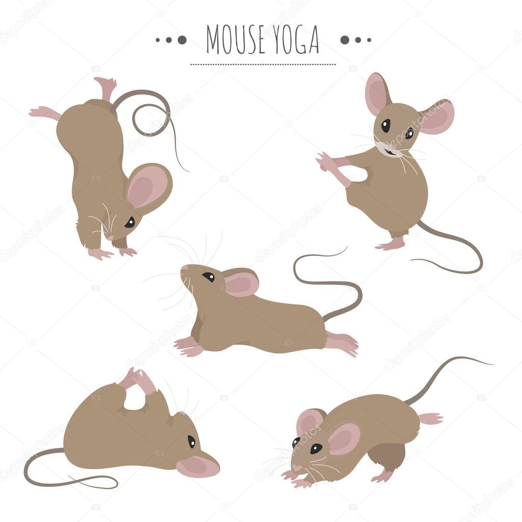 Mouse yoga poses and exercises. Cute cartoon clipart set. Vector ...