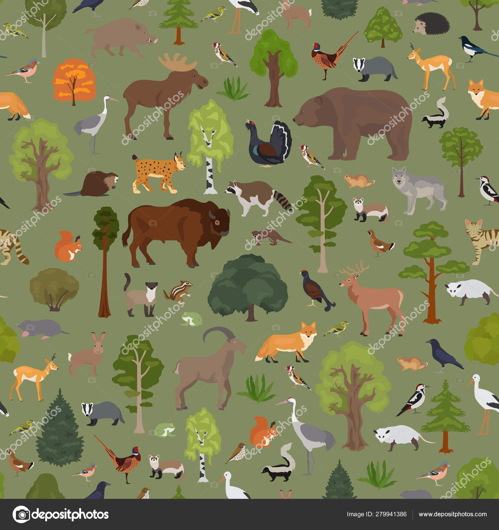 Plantas Y Animales Del Bosque Templado