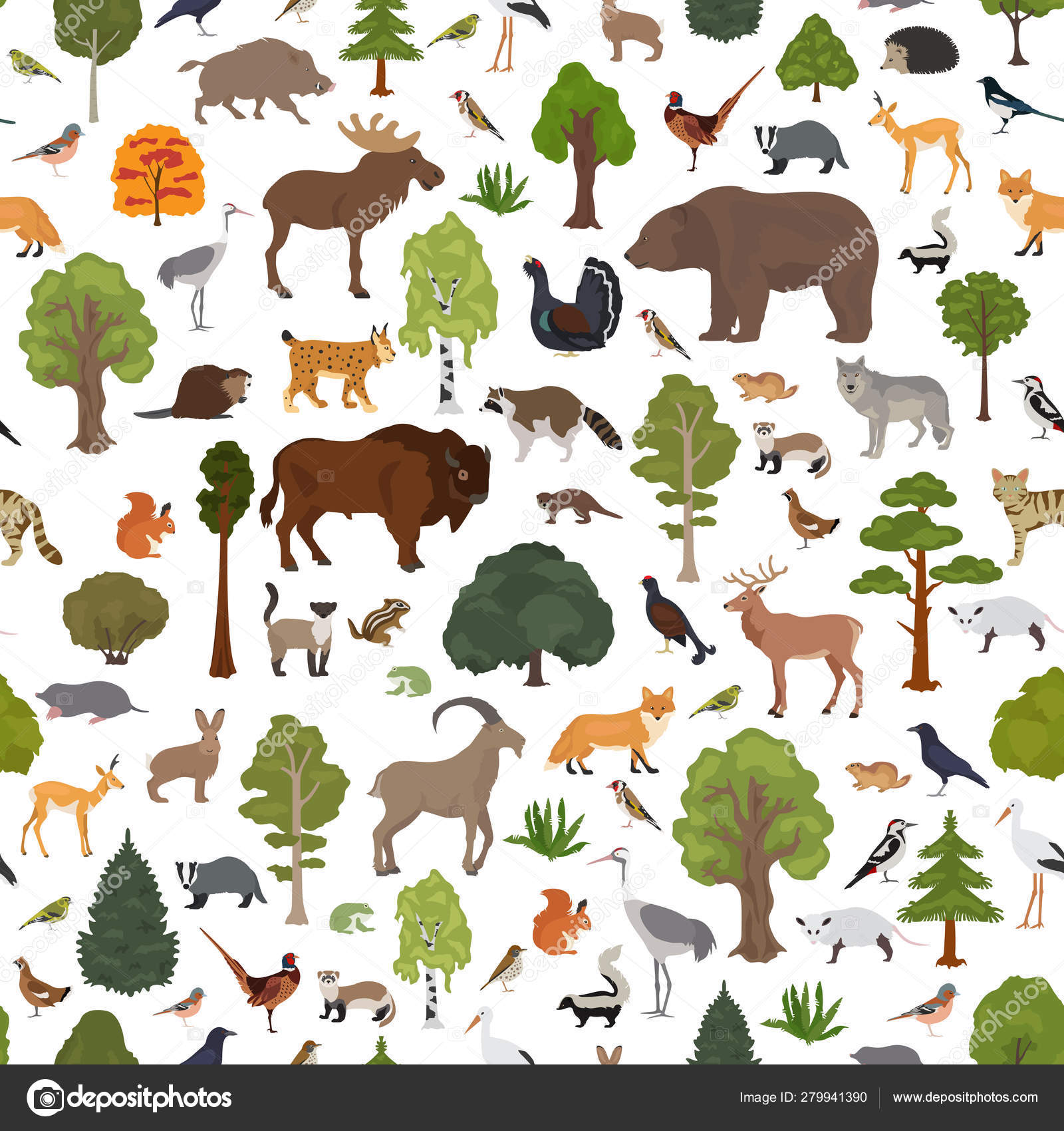 Plantas Y Animales Del Bosque Templado