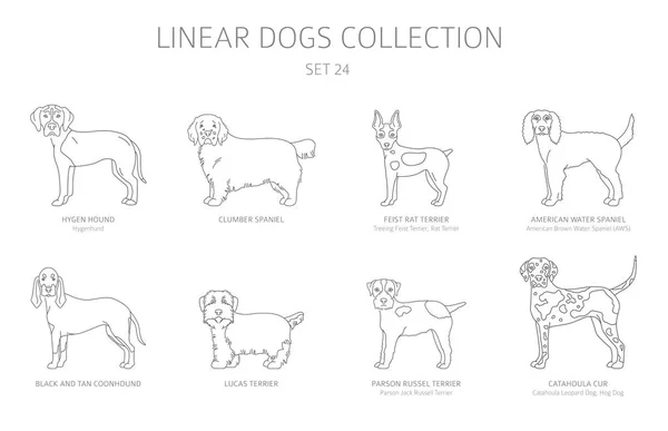 Simple line dogs collection isolated on white. Dog breeds. Flat Stock ...