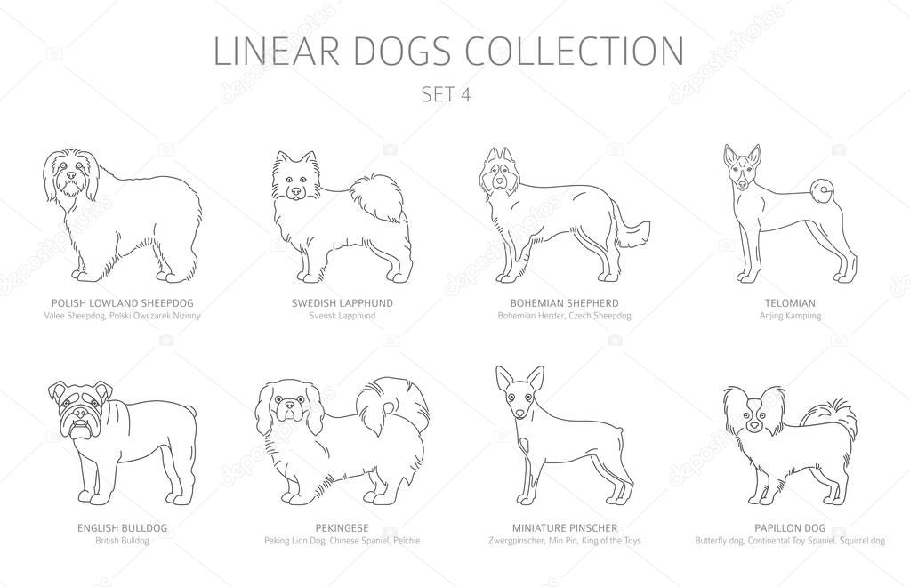 Sencilla colección de perros de línea aislada en blanco. Razas de ...
