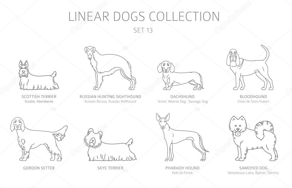 Sencilla colección de perros de línea aislada en blanco. Razas de ...