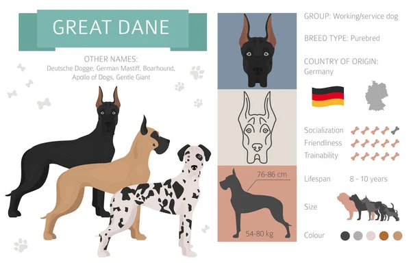 Great Dane Color Chart