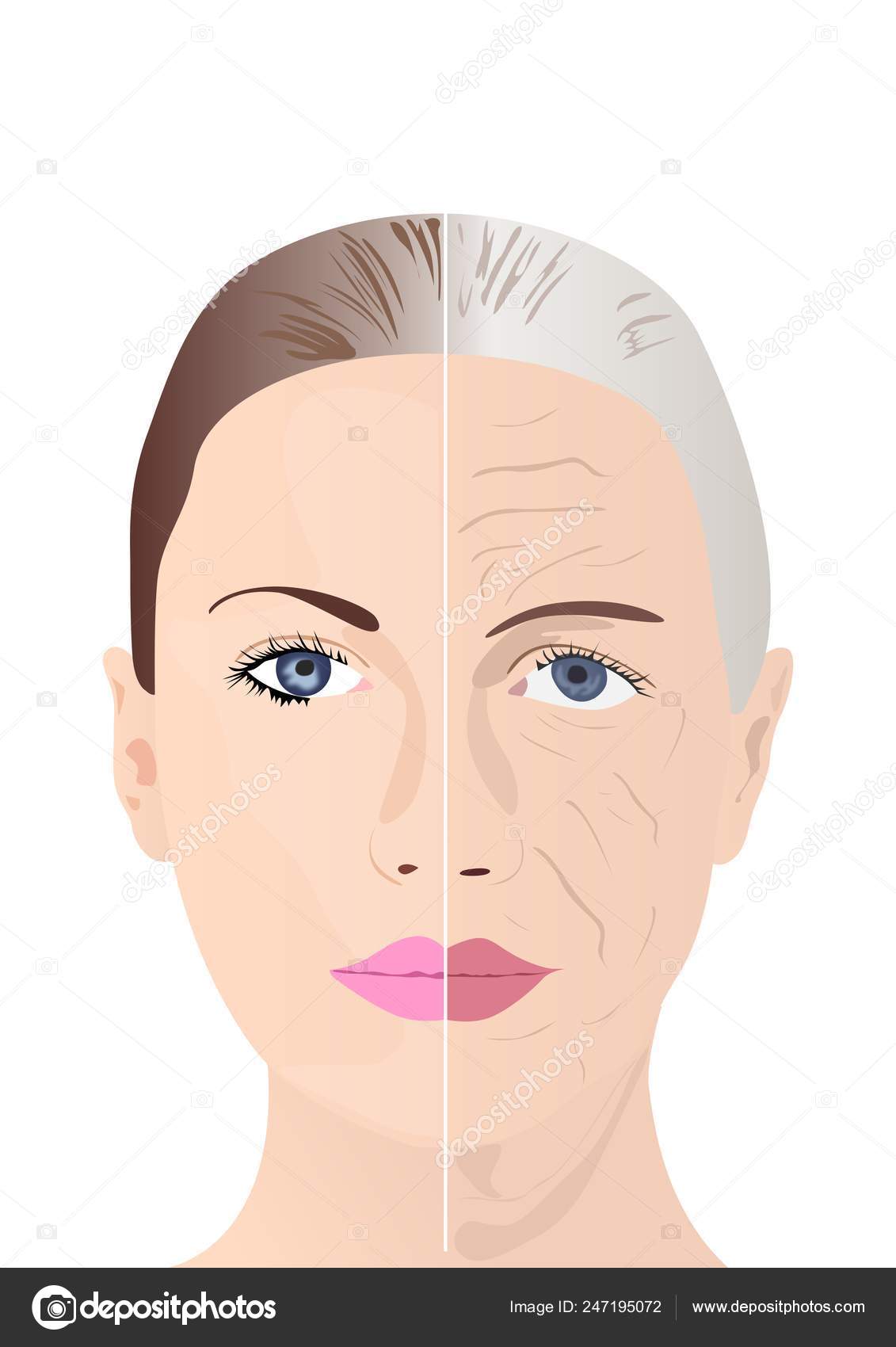 Skin Aging Concept Vector — Stock Vector © Sandalphonarts #247195072