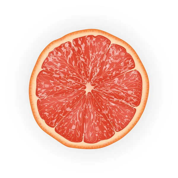 20,899,043 vectores de Pomelo fresco, imágenes vectoriales | Depositphotos
