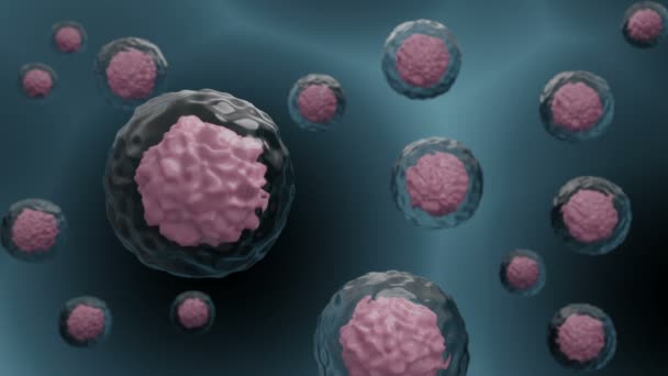 Animation Microscopic View Many Stem Cells Which Shows Nucleus Membrane ...