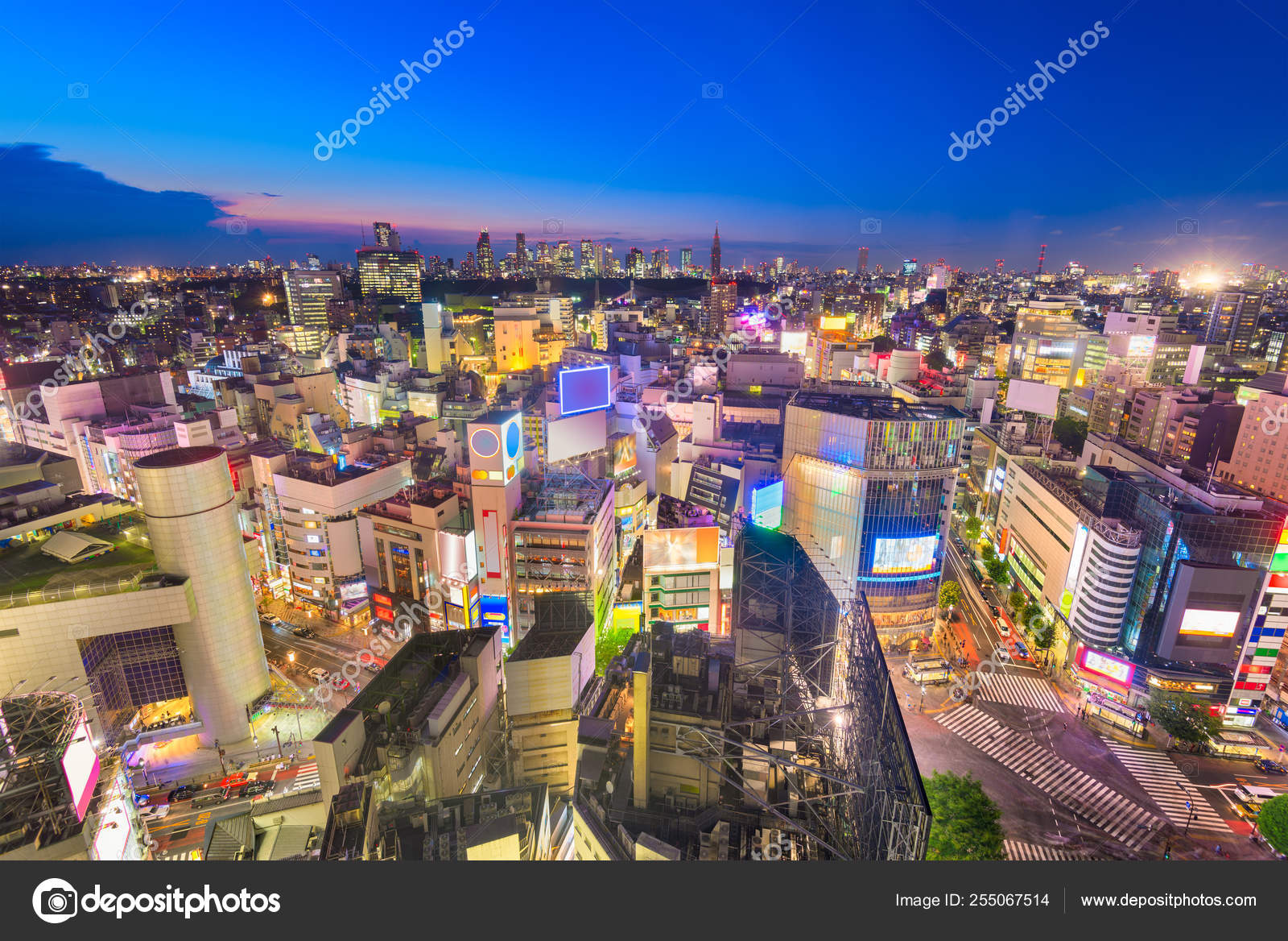 Tokyo, Japan city skyline over Shibuya Ward with the Shinjuku Wa – Stock Editorial Photo ...