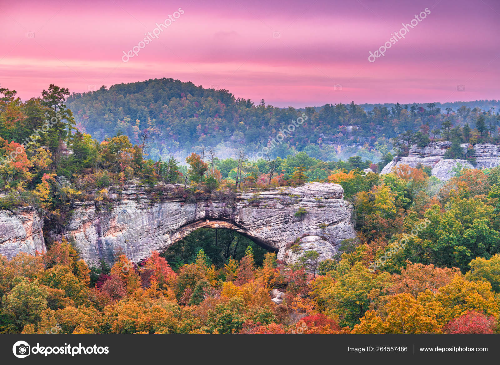 Daniel Boone National Forest — Stock Photo © sepavone #264557486