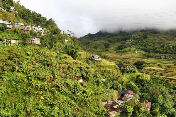 Pingala Stock Photos, Royalty Free Pingala Images | Depositphotos