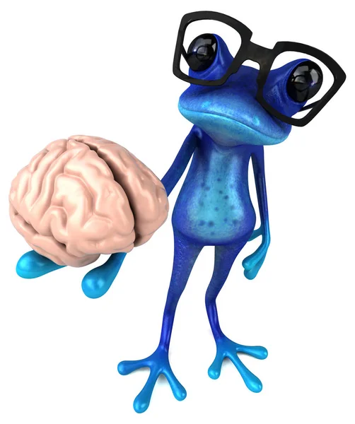 Frog Brain Vs Human Brain
